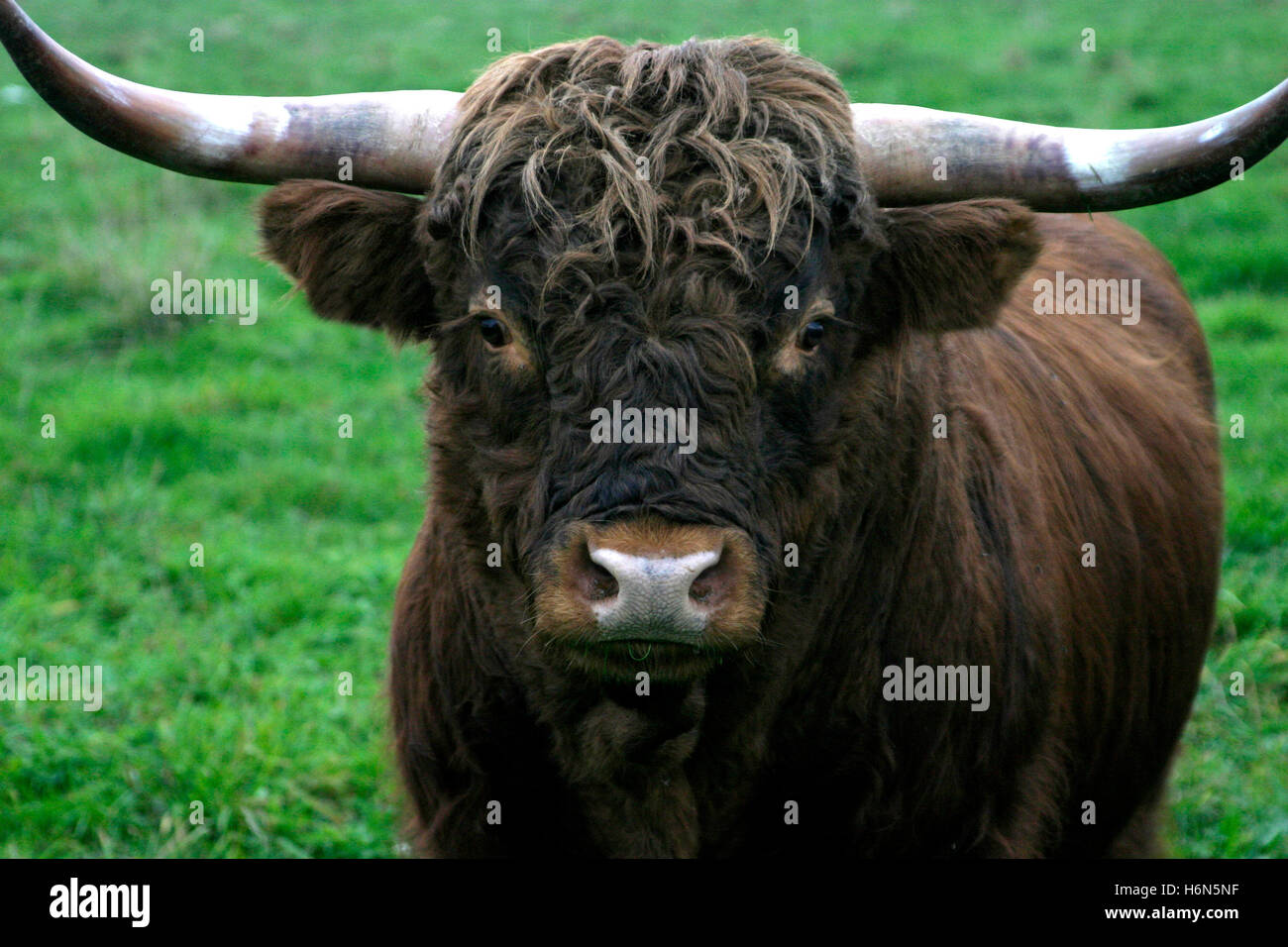 look at me Stock Photo - Alamy