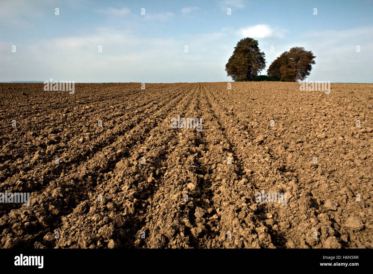 Ackerfurchen agriculture hi-res stock photography and images - Alamy
