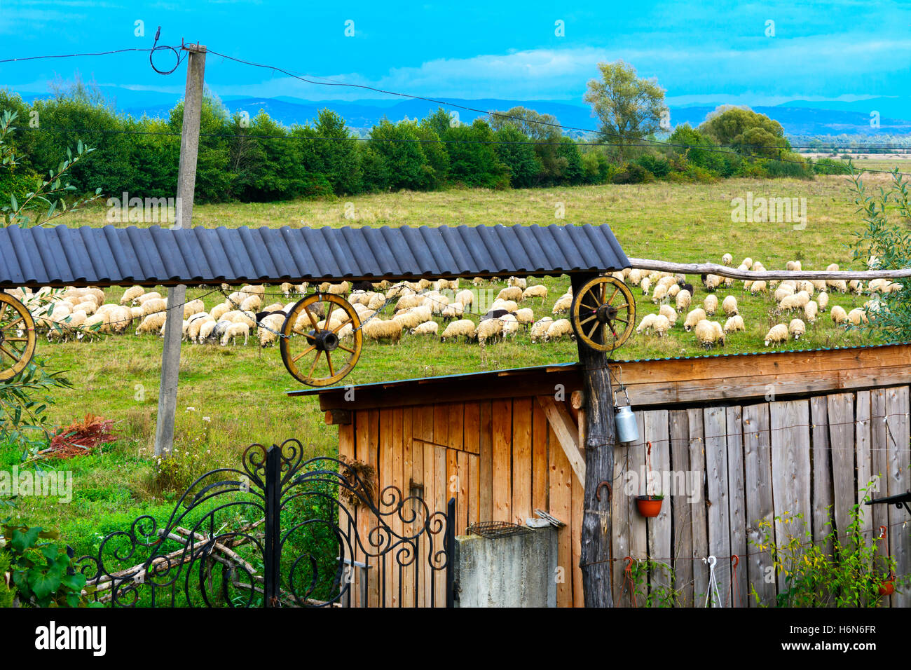 Grazing gate hi-res stock photography and images - Alamy
