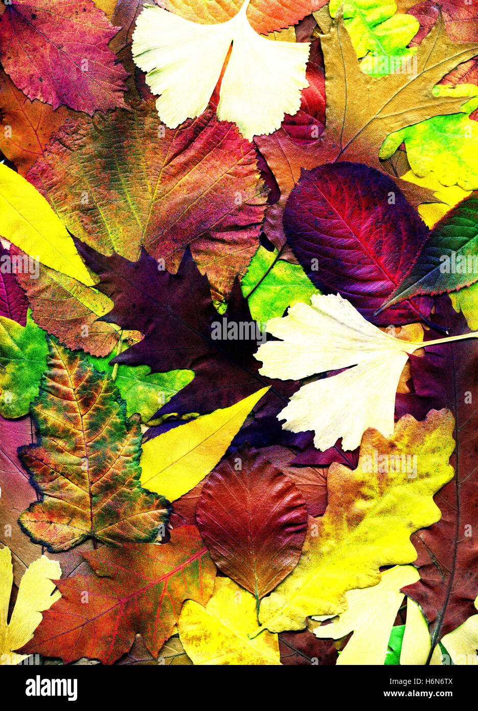 Nature alienation hi-res stock photography and images - Alamy