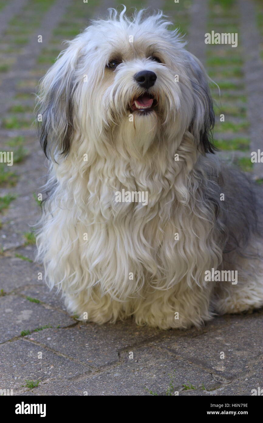 Home for mammals hi-res stock photography and images - Alamy