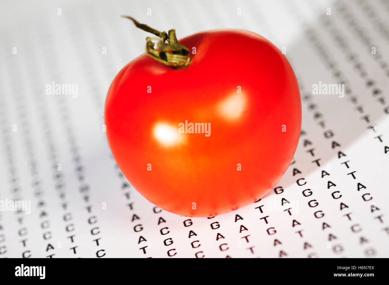 genetically modified food Stock Photo - Alamy