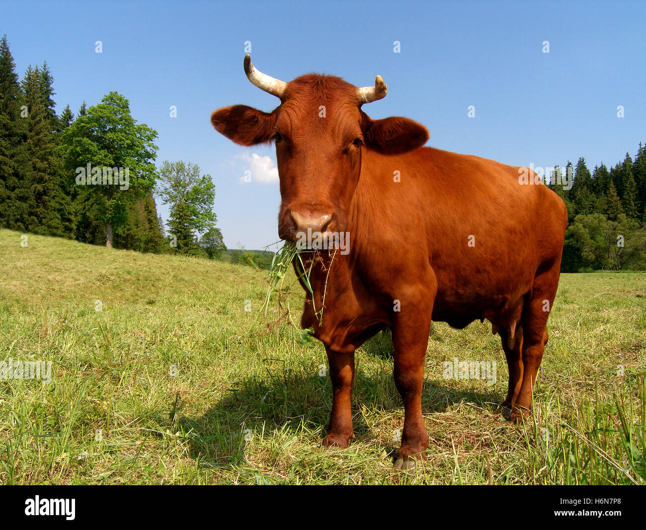 Very useful hi-res stock photography and images - Alamy