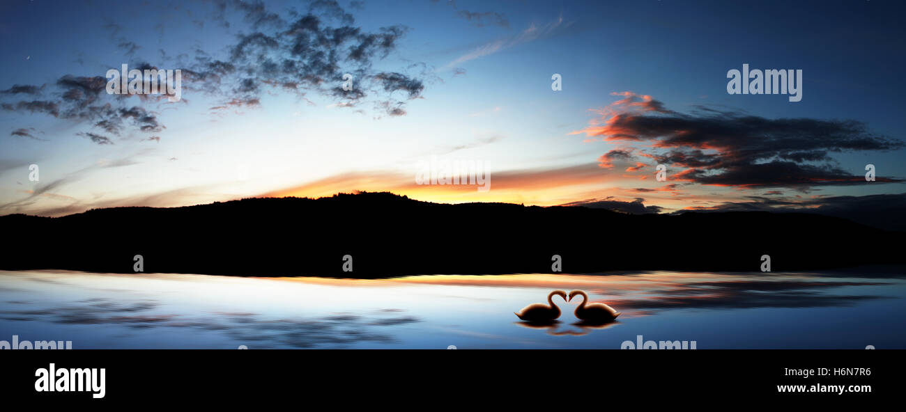 Backlit photo of birds hi-res stock photography and images - Alamy