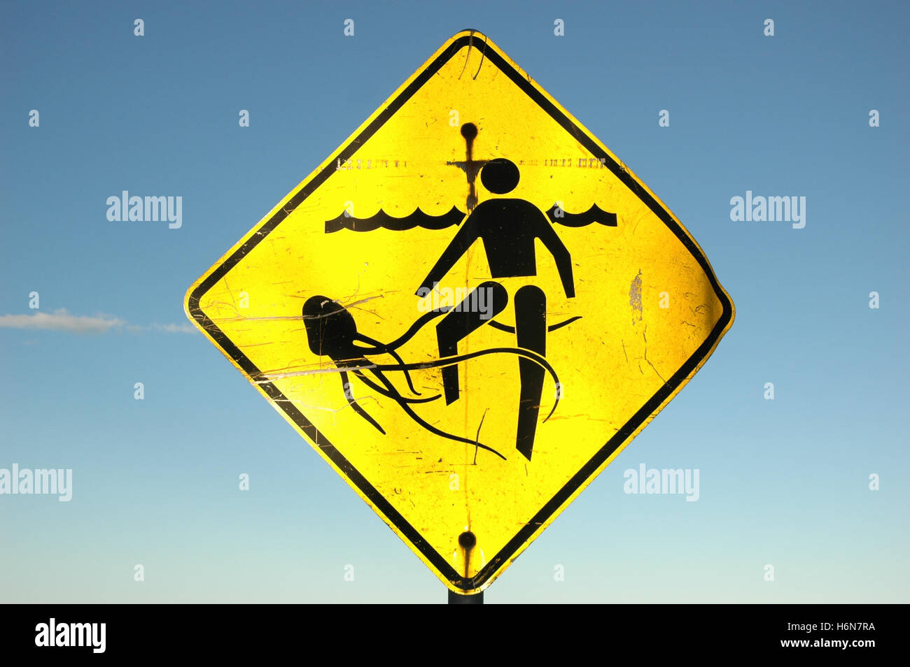 Box jellyfish warning hi-res stock photography and images - Alamy
