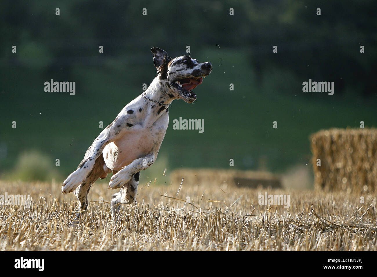 Aand hi-res stock photography and images - Alamy
