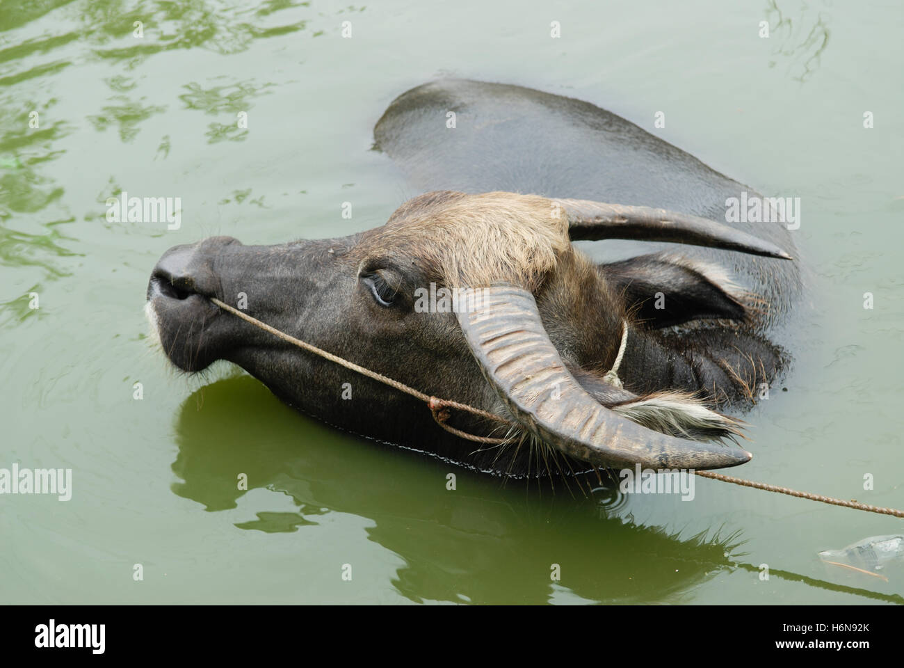 Asia river water mirroring hi-res stock photography and images - Alamy