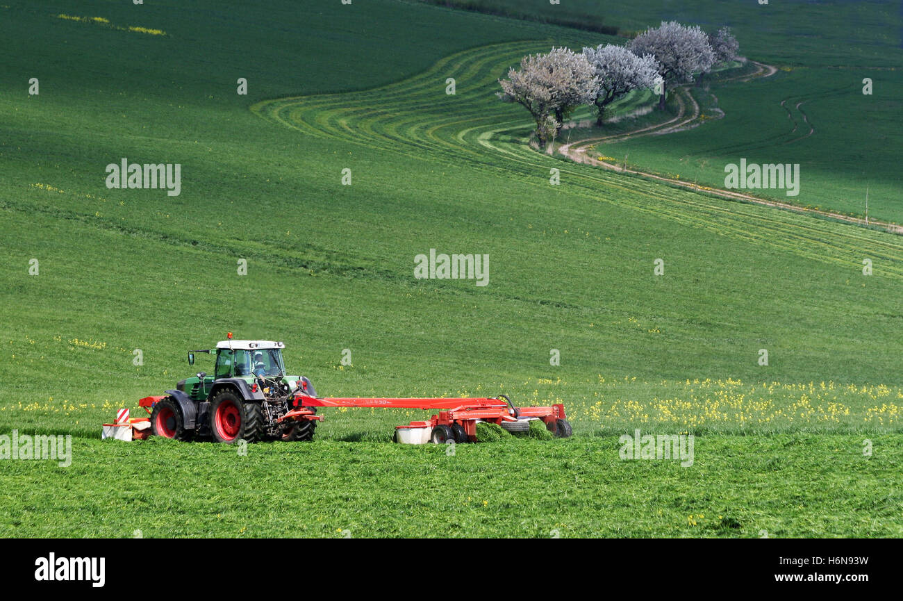 Shave grass hi-res stock photography and images - Alamy