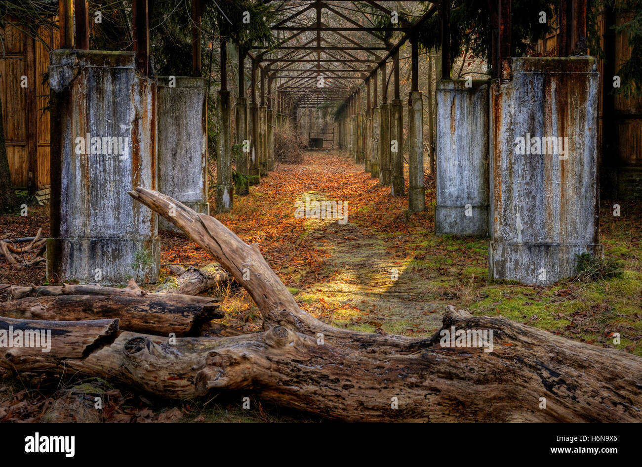 Tonemapping hi-res stock photography and images - Alamy