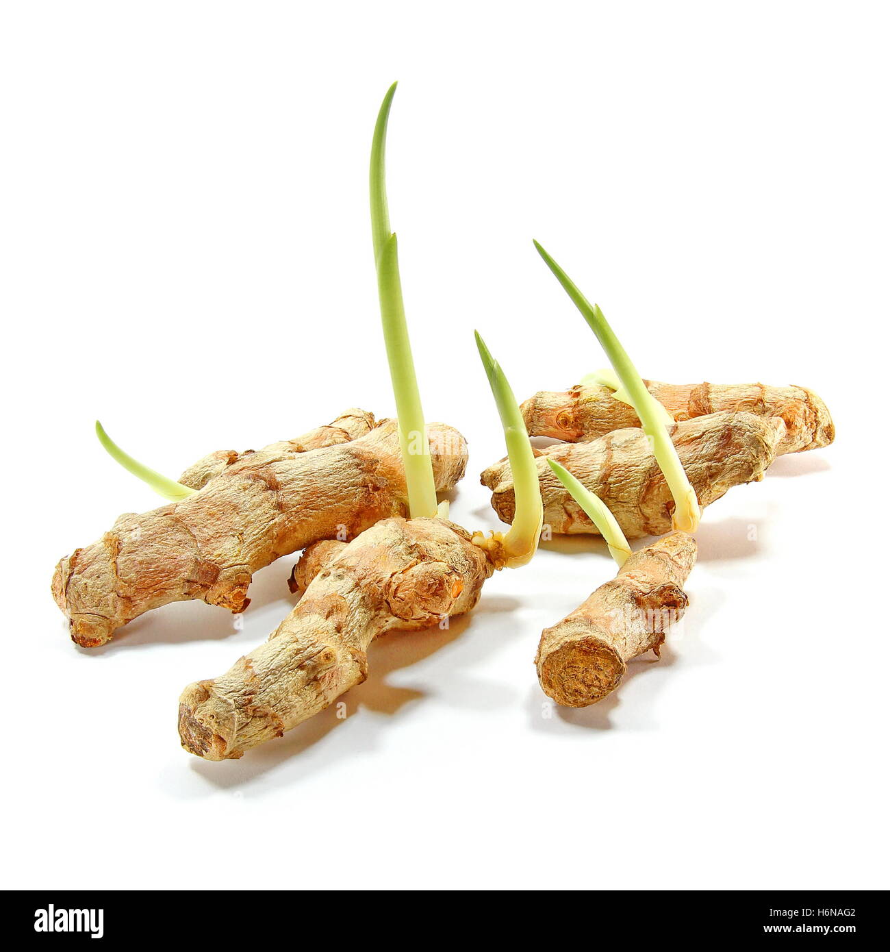 Turmeric plant hi-res stock photography and images - Alamy