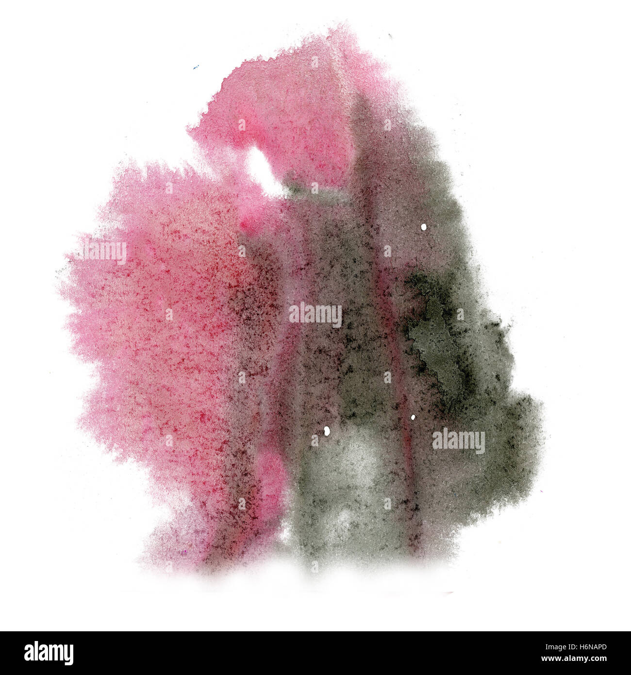 paint black pink splash color ink watercolor isolated stroke splatter ...