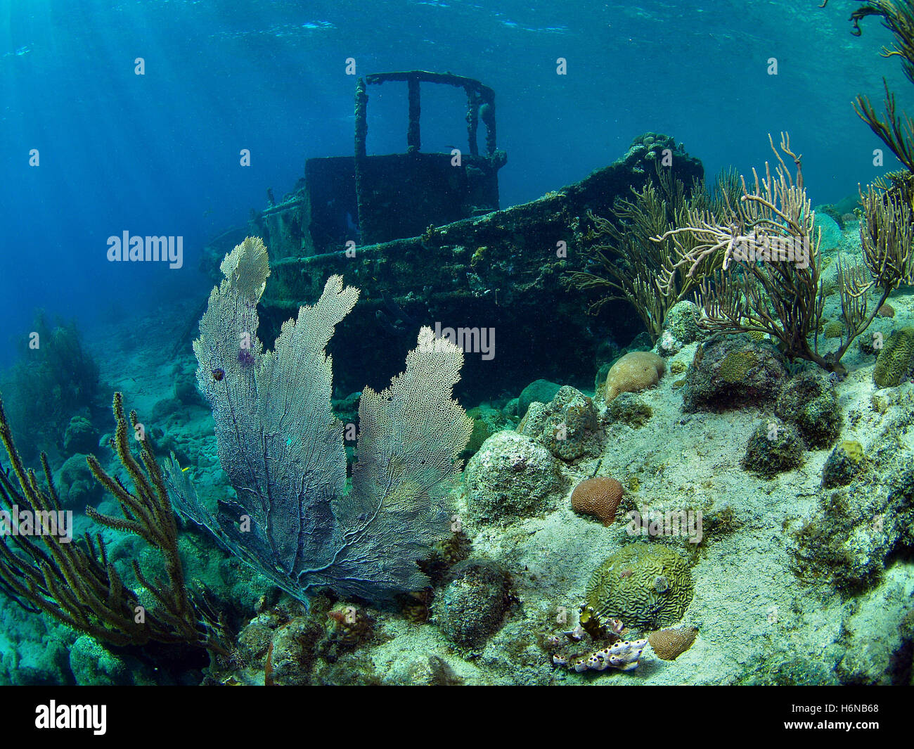 World tug hi-res stock photography and images - Alamy