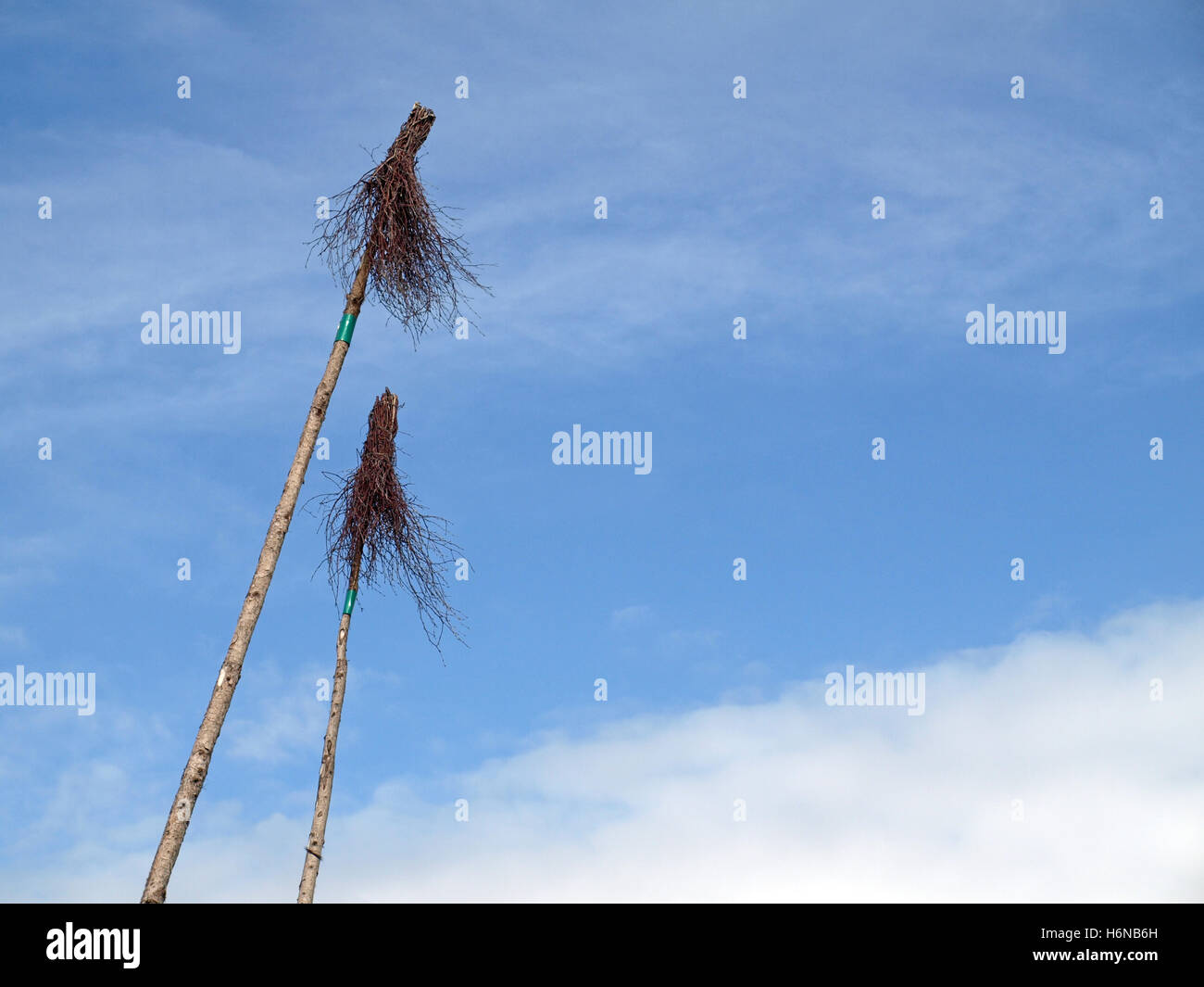 Pricken hi-res stock photography and images - Alamy