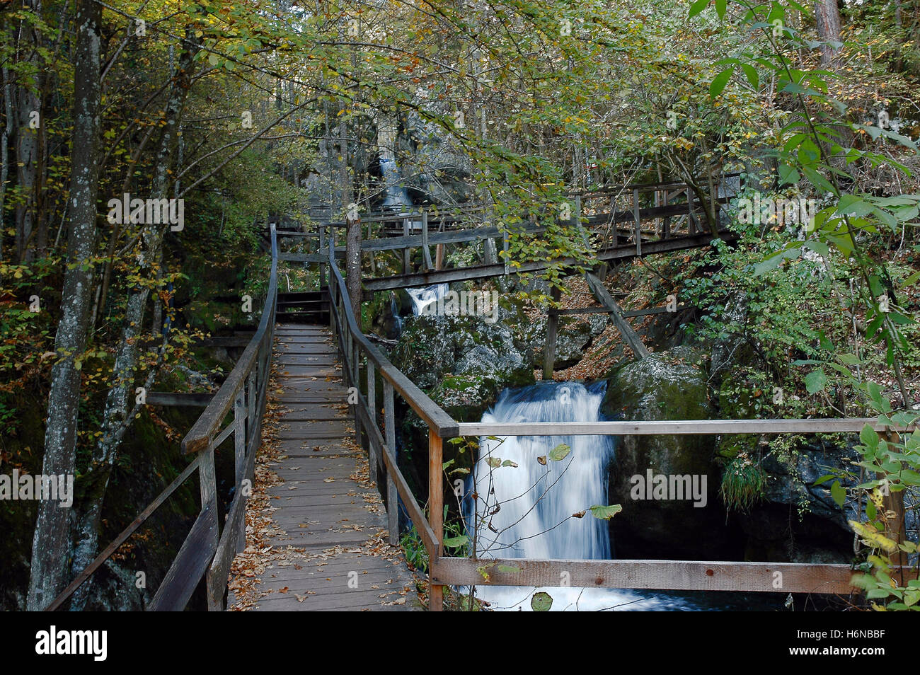 hiking in nature Stock Photo - Alamy