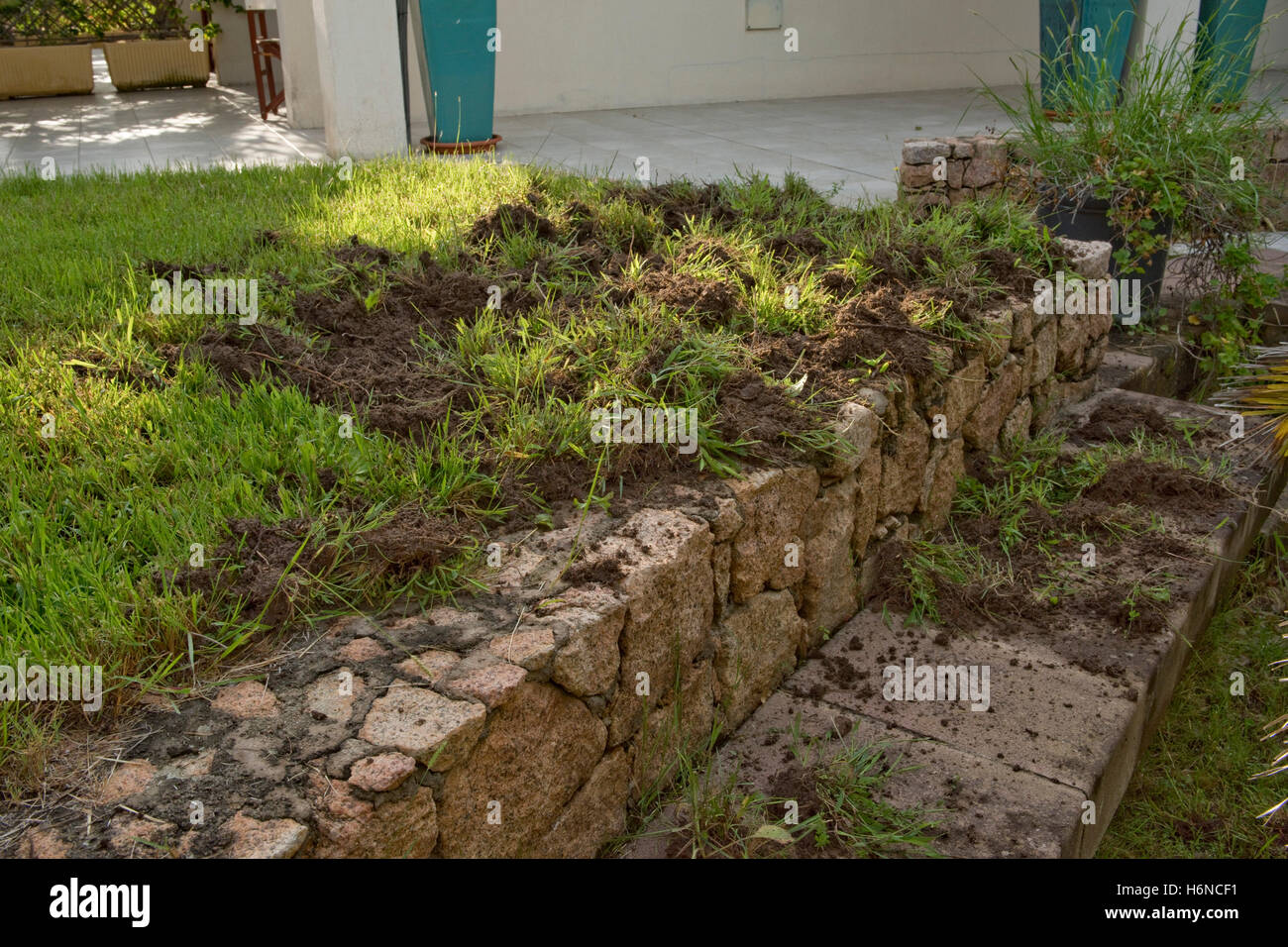 Lawn damage garden hi-res stock photography and images - Alamy