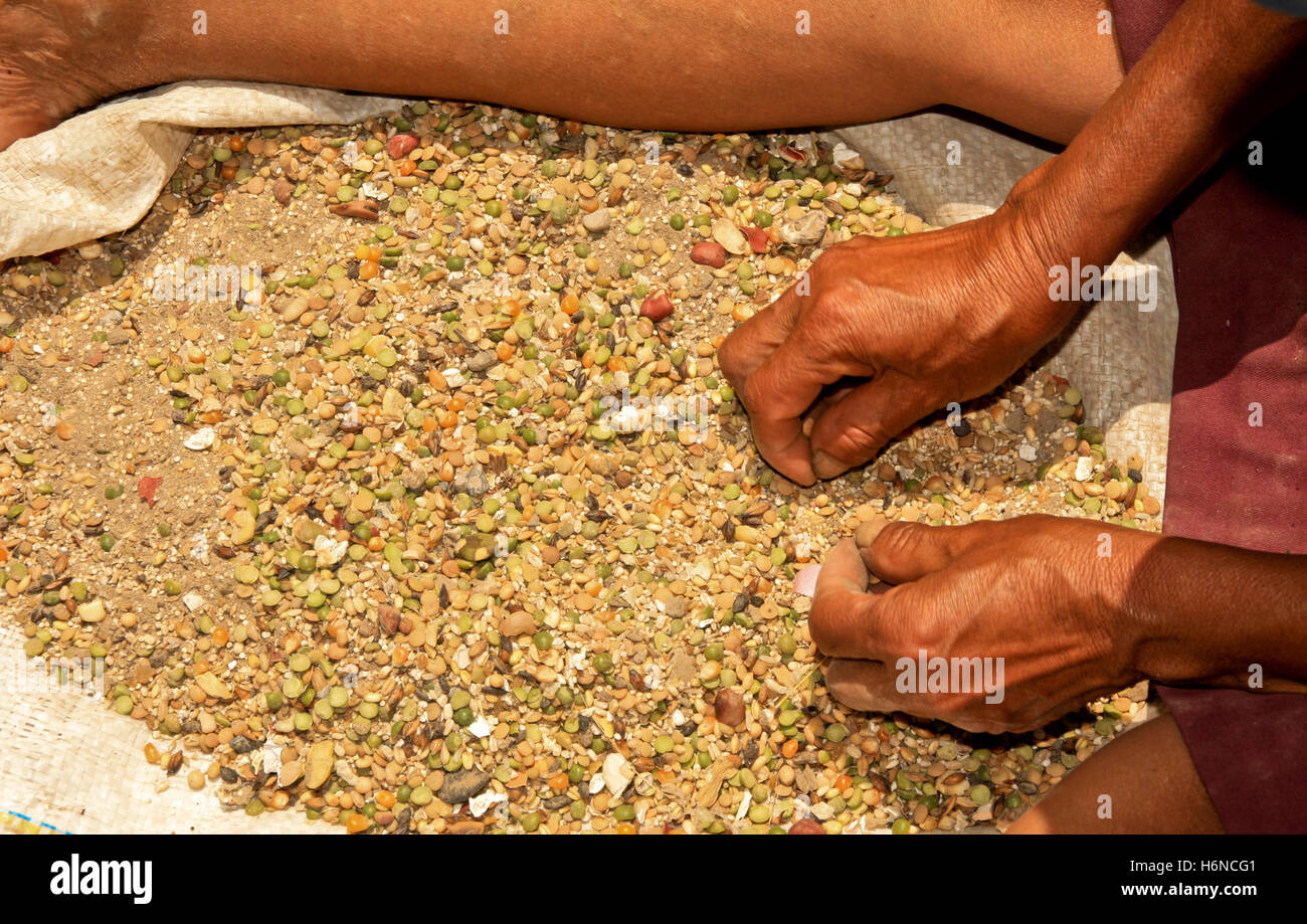 poverty in south america Stock Photo - Alamy