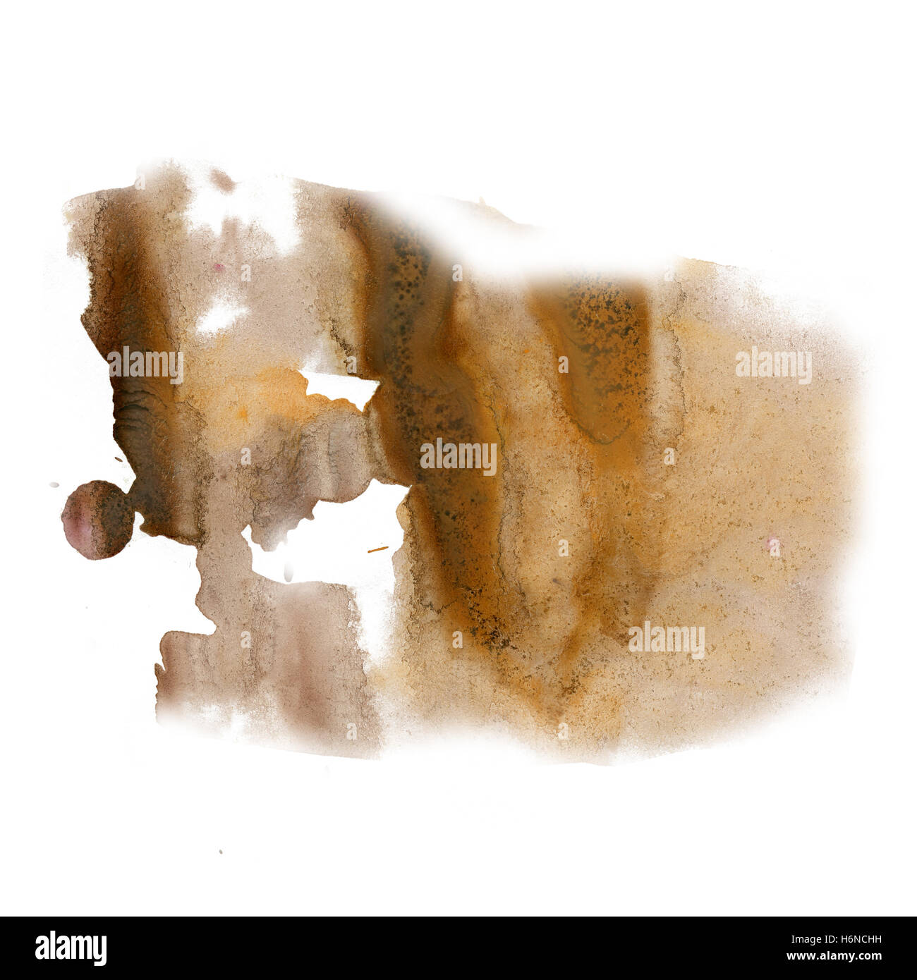 splatter ink watercolour dye liquid brown watercolor macro spot blotch ...