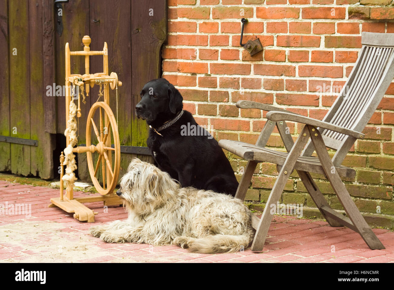 Spinning Wheel With Animals High Resolution Stock Photography and ...