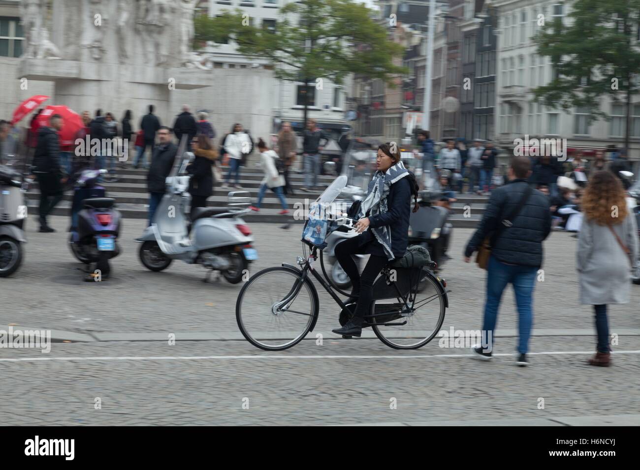 Famous dutch cyclist hi-res stock photography and images - Alamy