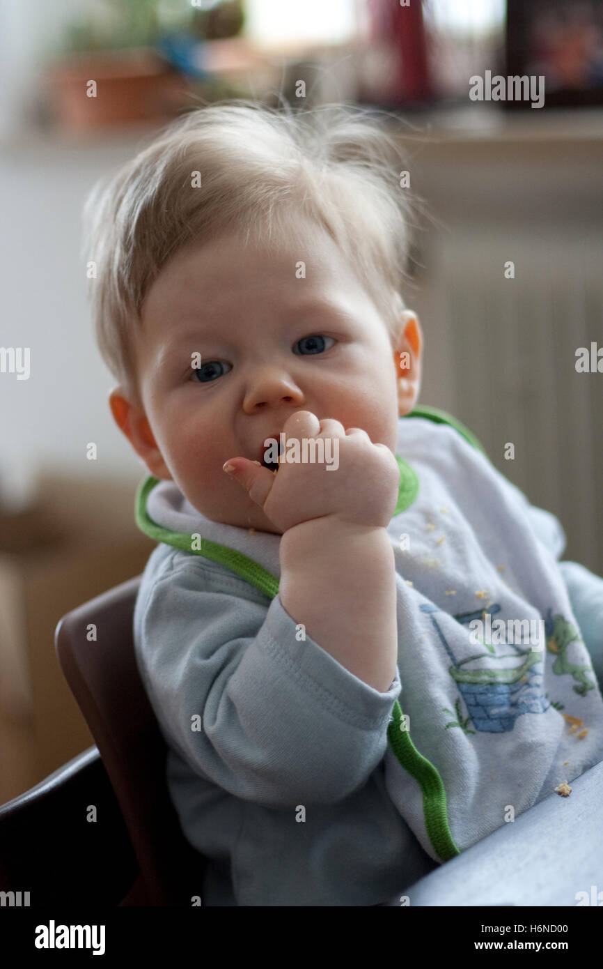 Kindchenschema hi-res stock photography and images - Alamy