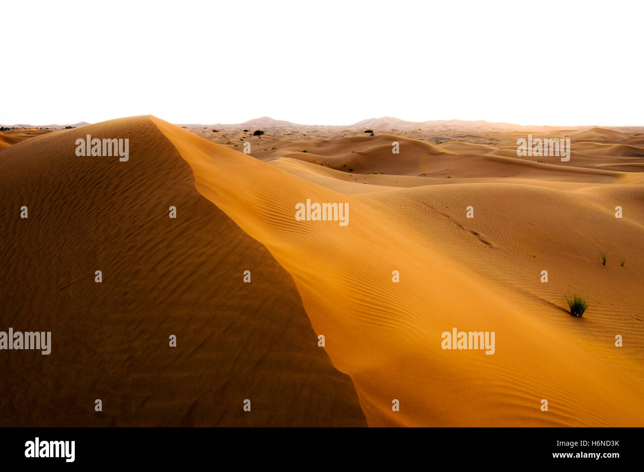 Sandy deserts hi-res stock photography and images - Alamy