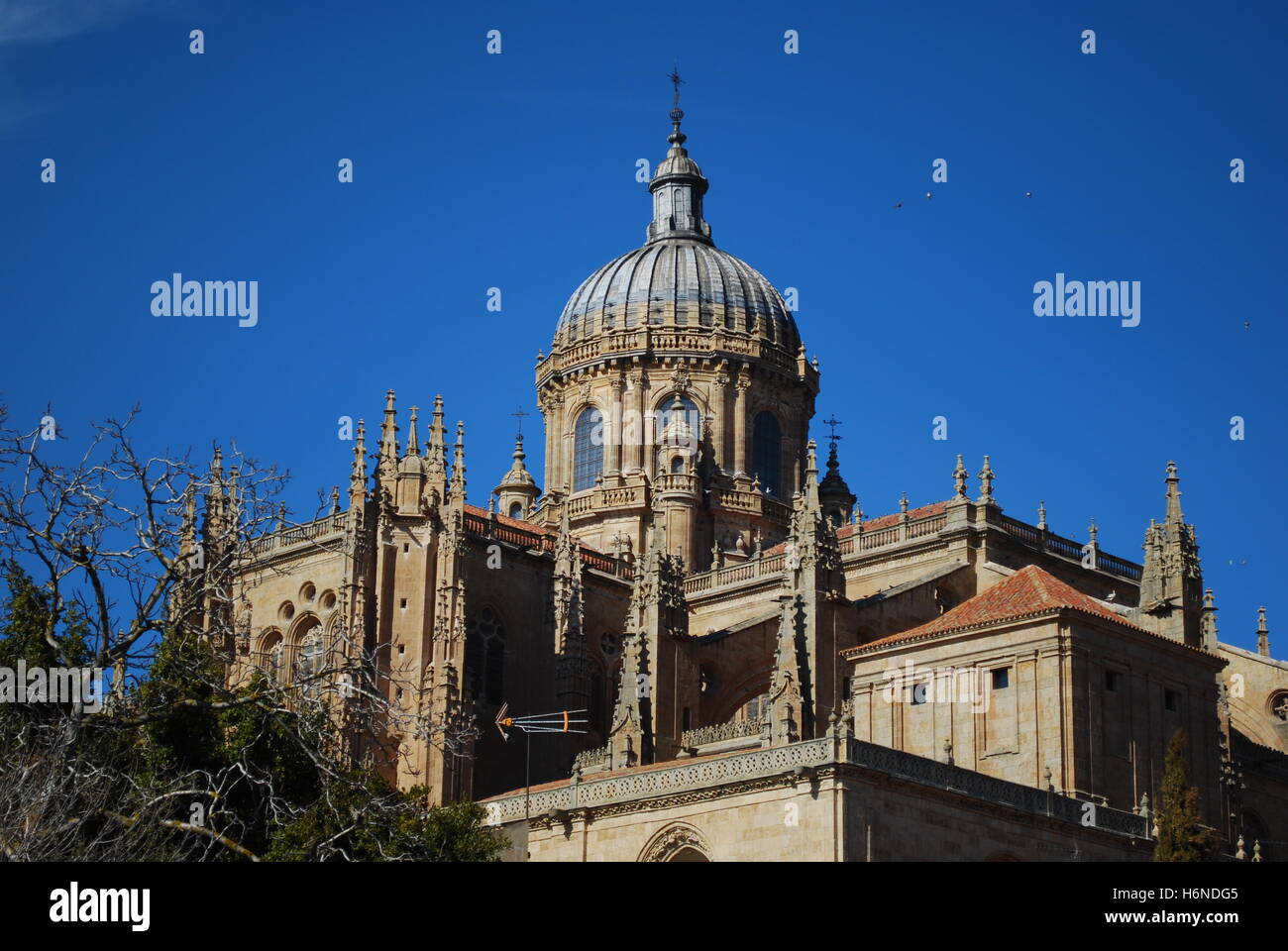 Baroque temples hi-res stock photography and images - Alamy