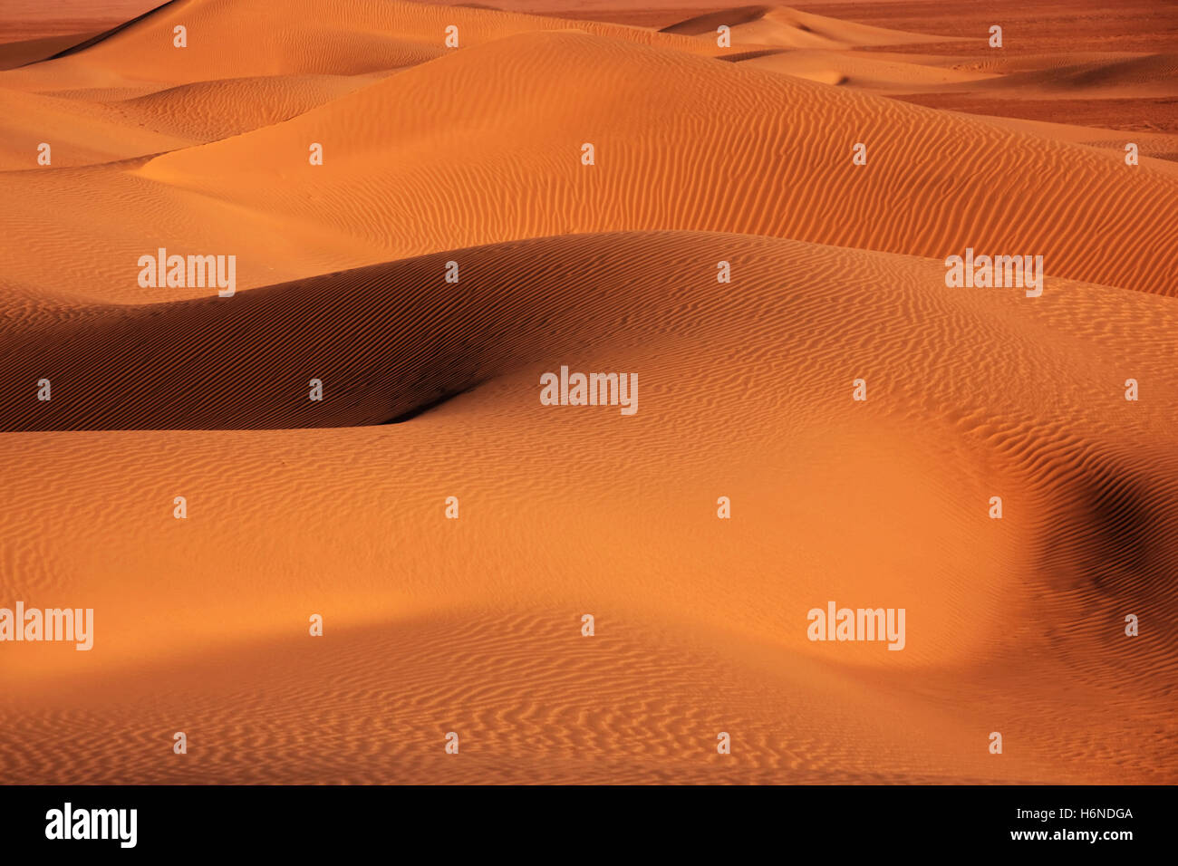 Sandy deserts hi-res stock photography and images - Alamy