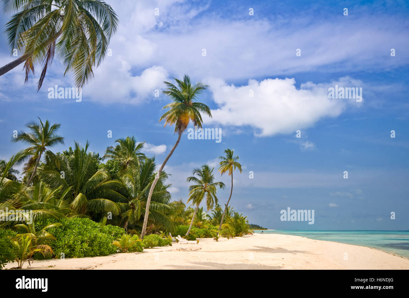 tropical dream beach Stock Photo - Alamy