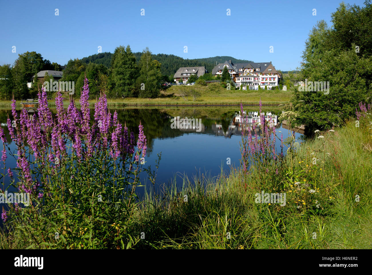Hinterzarten High Resolution Stock Photography and Images - Alamy