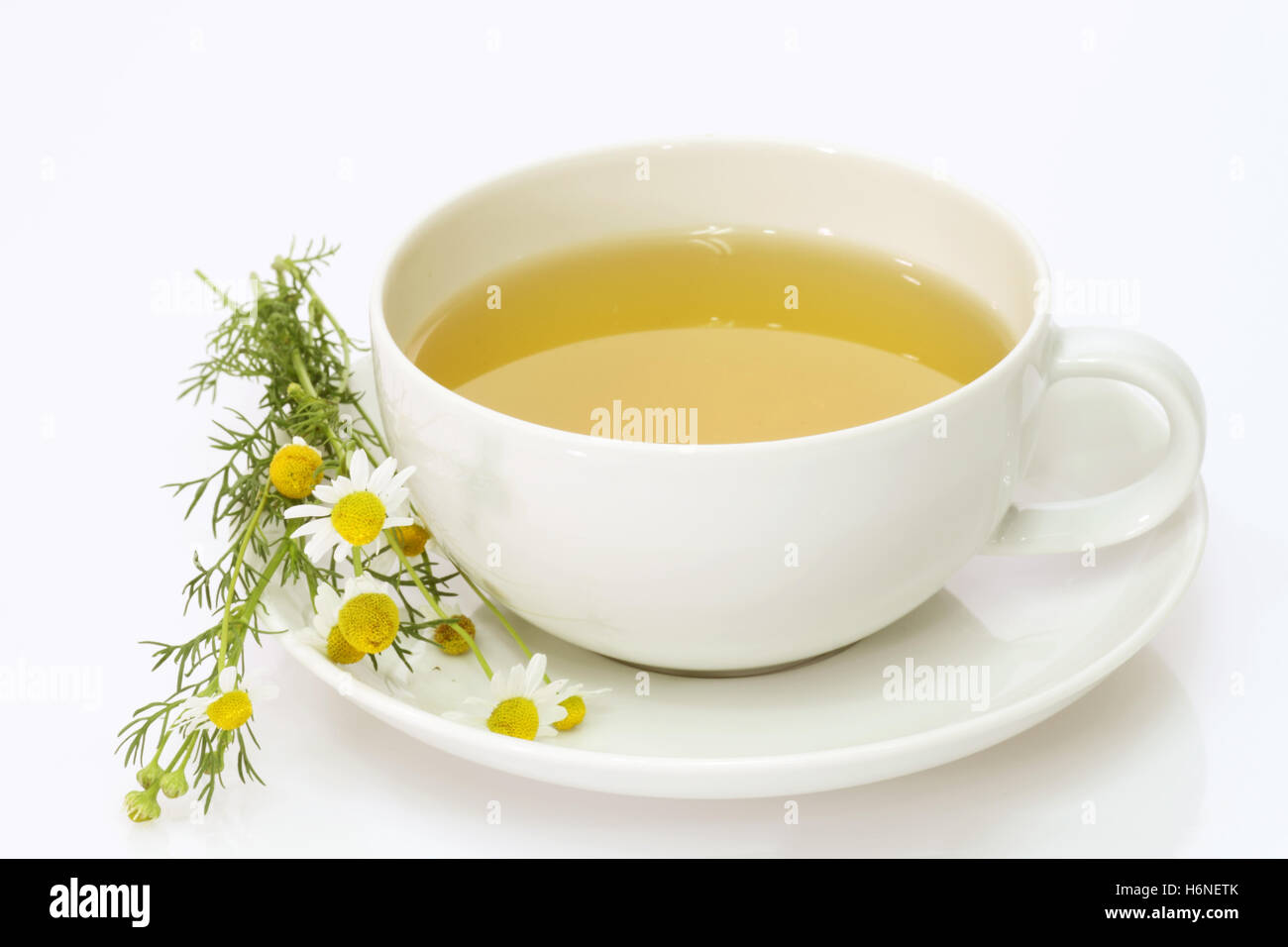 Camomile herb hi-res stock photography and images - Alamy