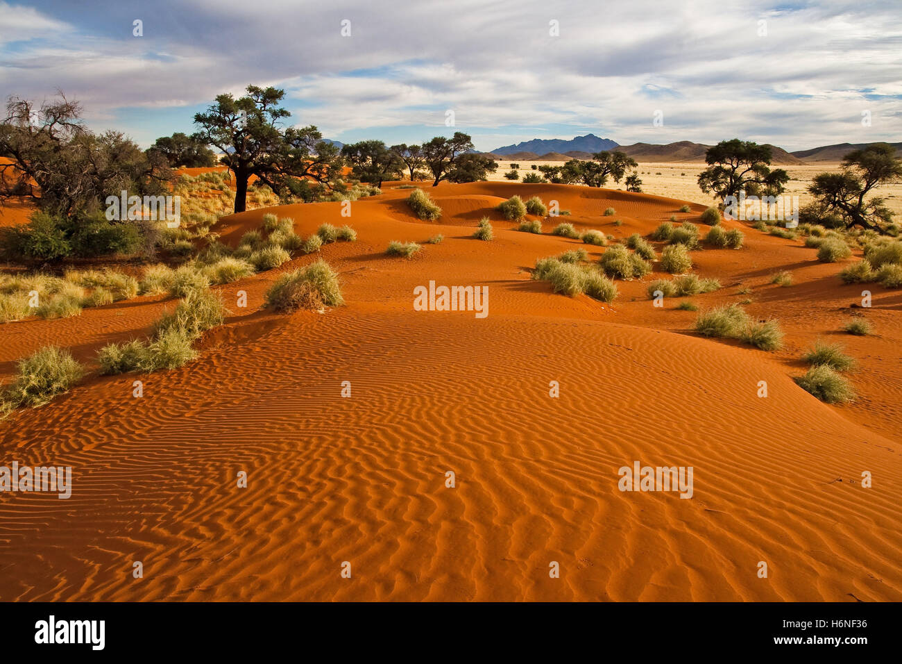 Red deserts hi-res stock photography and images - Alamy