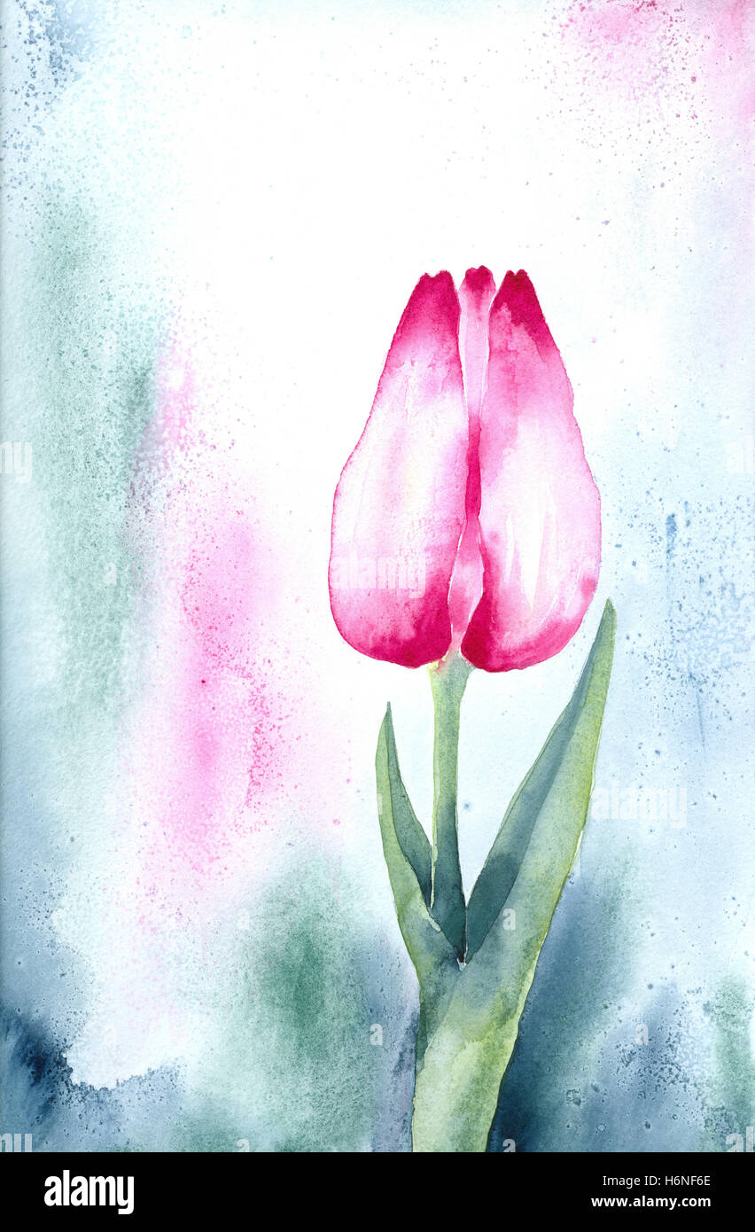 tulip in pink Stock Photo - Alamy