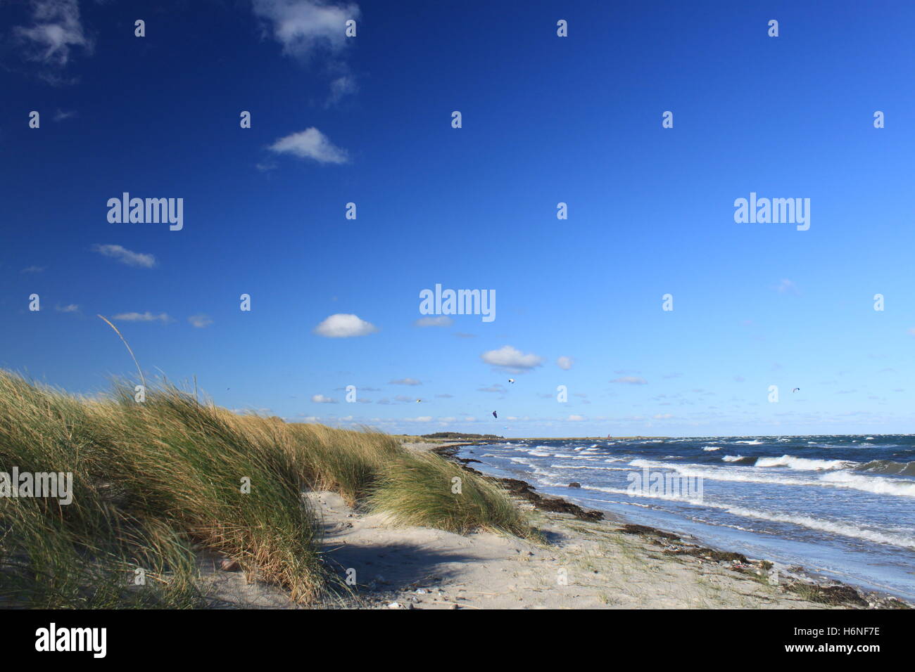 beach on fehmarn Stock Photo - Alamy