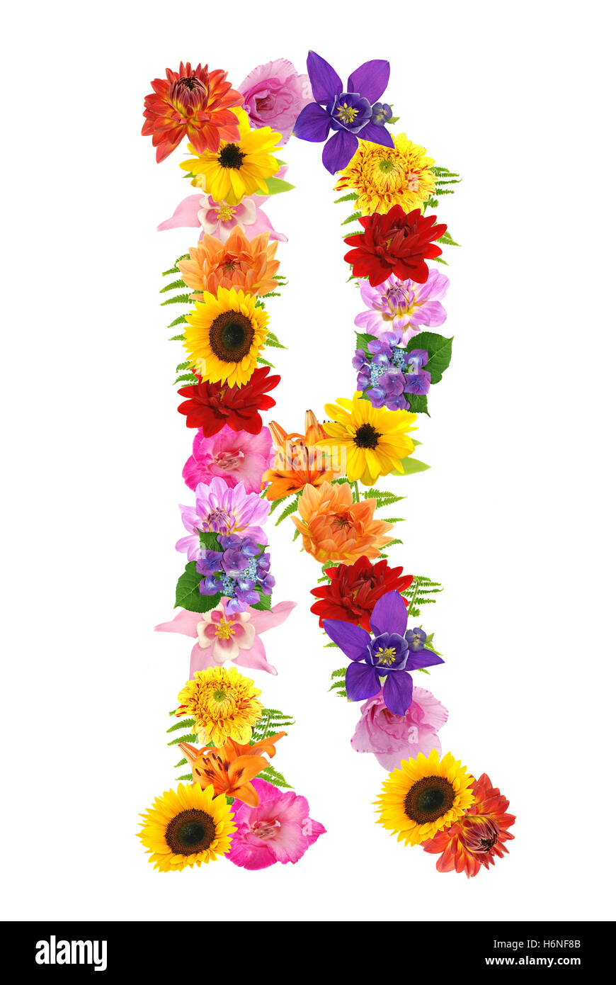 Letter r flowers hi-res stock photography and images - Alamy