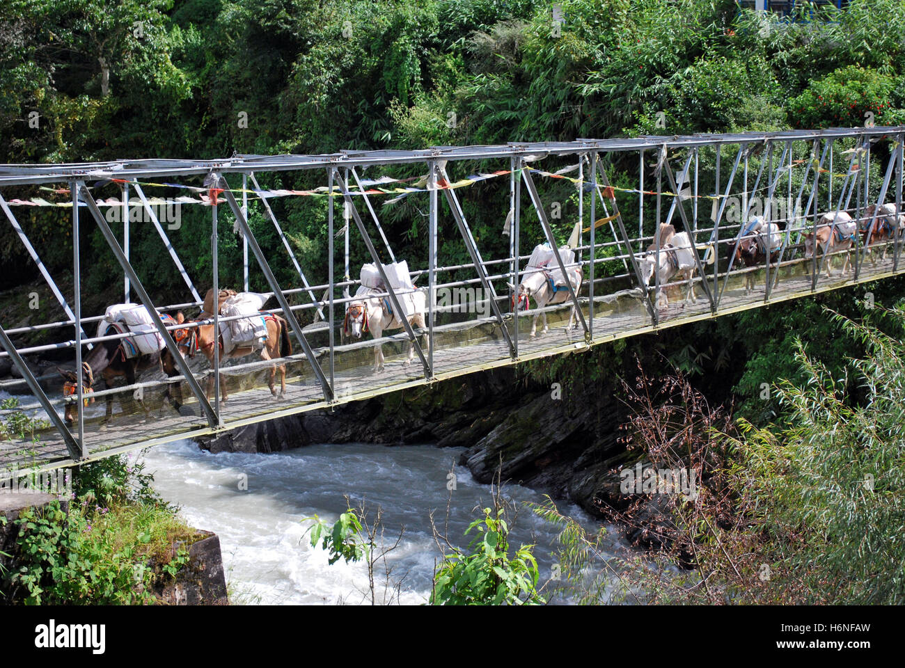 Donkey bridge hi-res stock photography and images - Alamy
