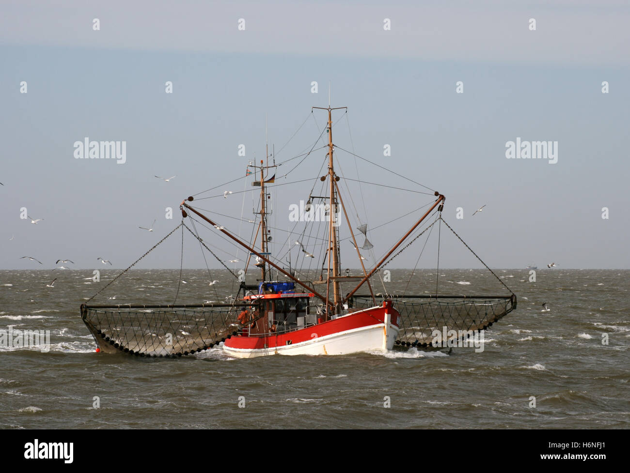 Rowing crabs hi-res stock photography and images - Alamy