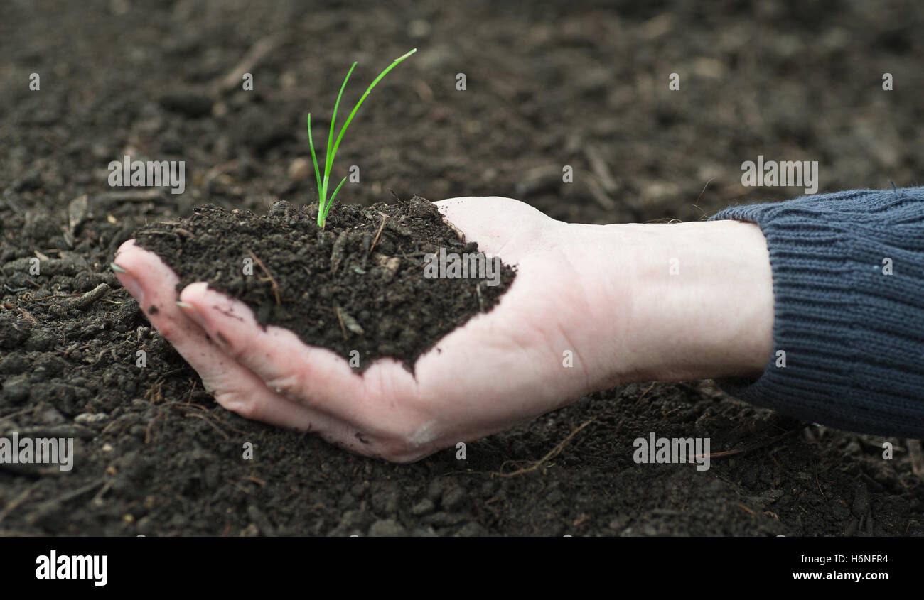 Compost topsoil hi-res stock photography and images - Alamy