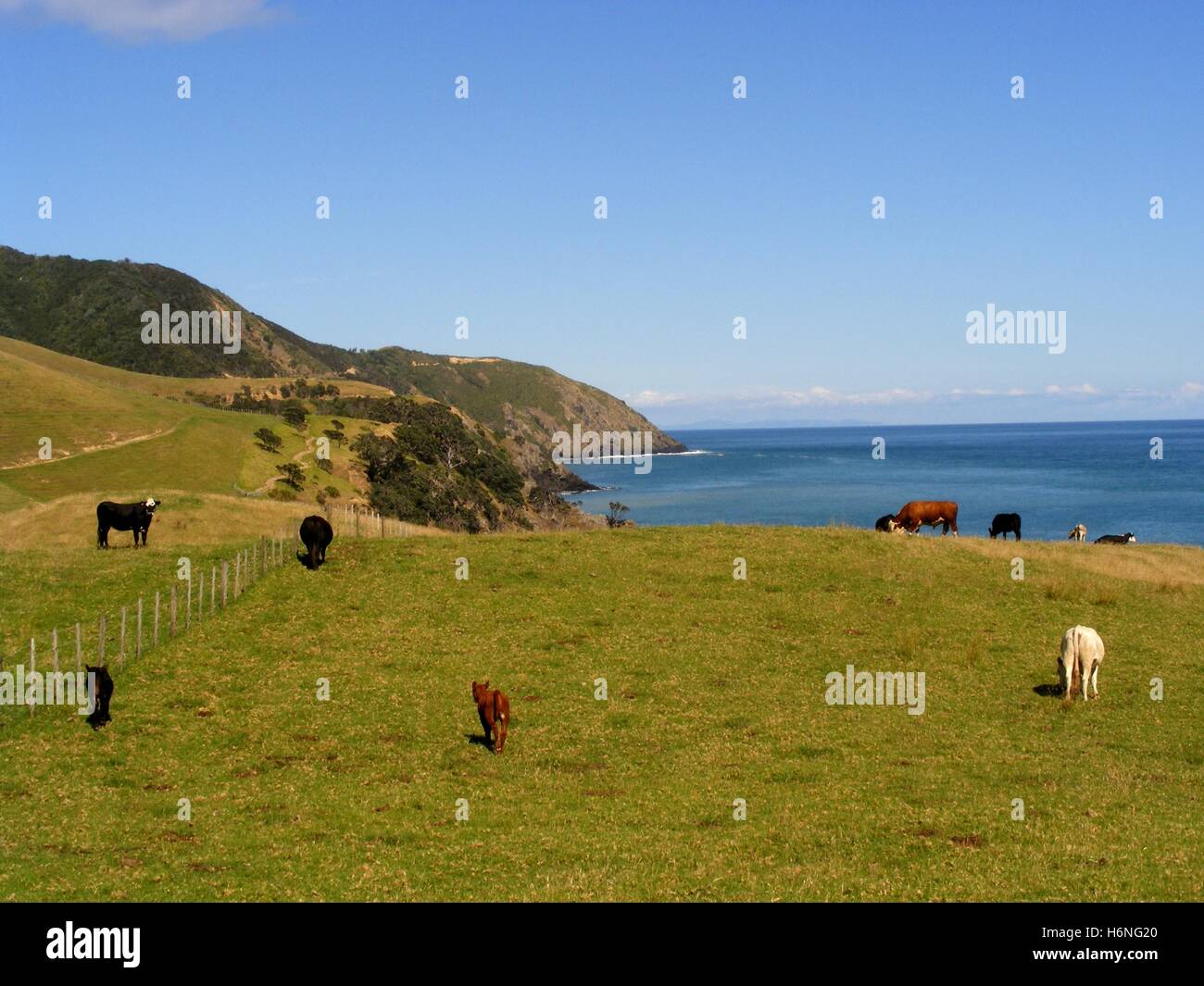 Coromandel holidays hi-res stock photography and images - Alamy