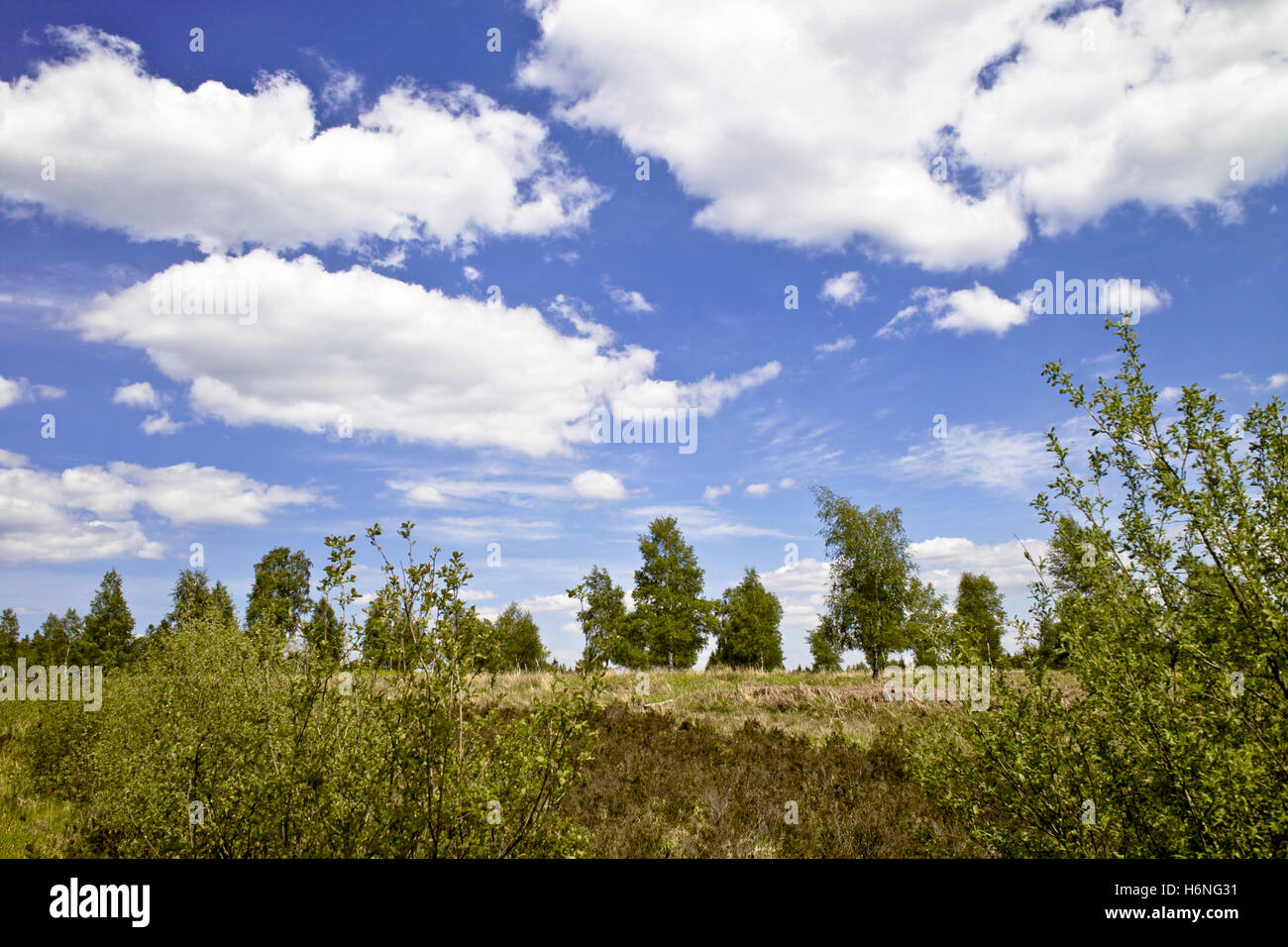 German natural landscapes hi-res stock photography and images - Alamy