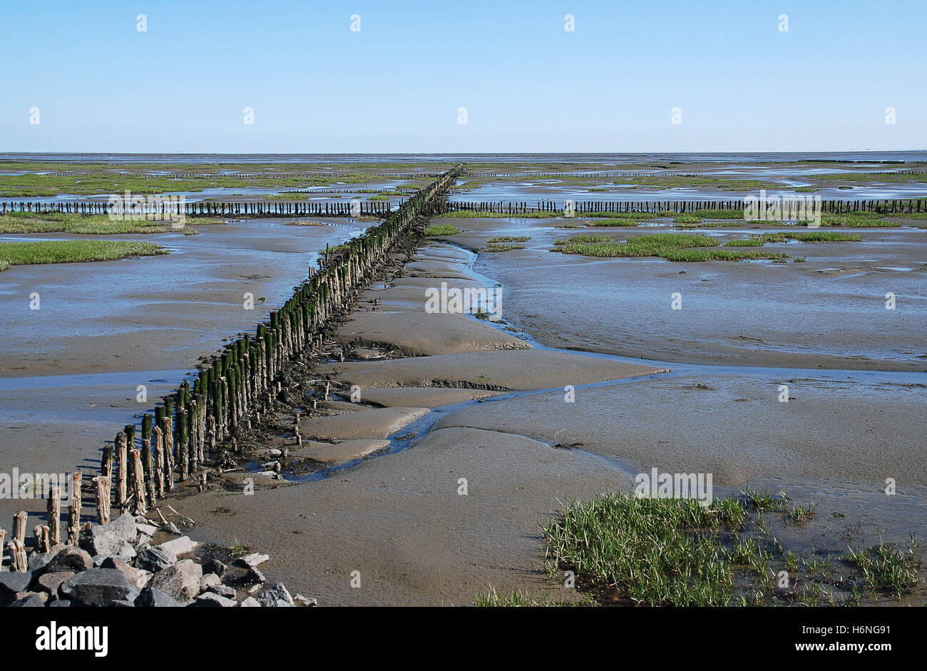Mud flats with salt hi-res stock photography and images - Alamy
