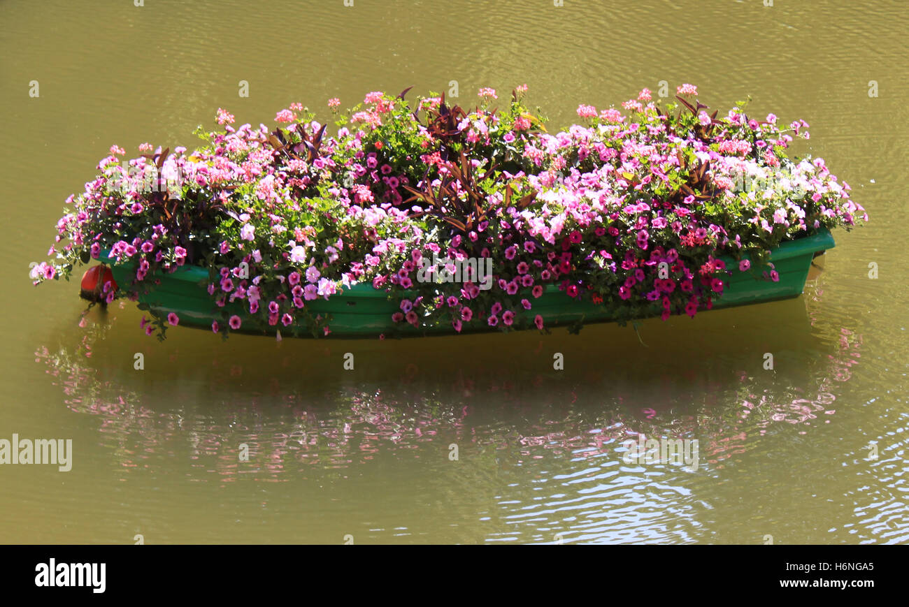 Travel flower hi-res stock photography and images - Alamy