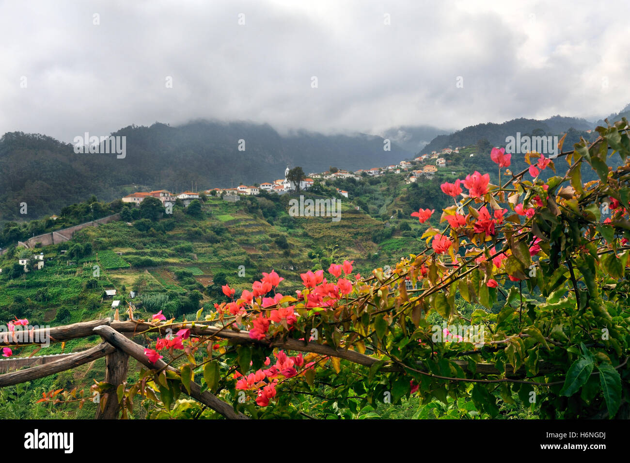 Tall natural landscapes hi-res stock photography and images - Alamy