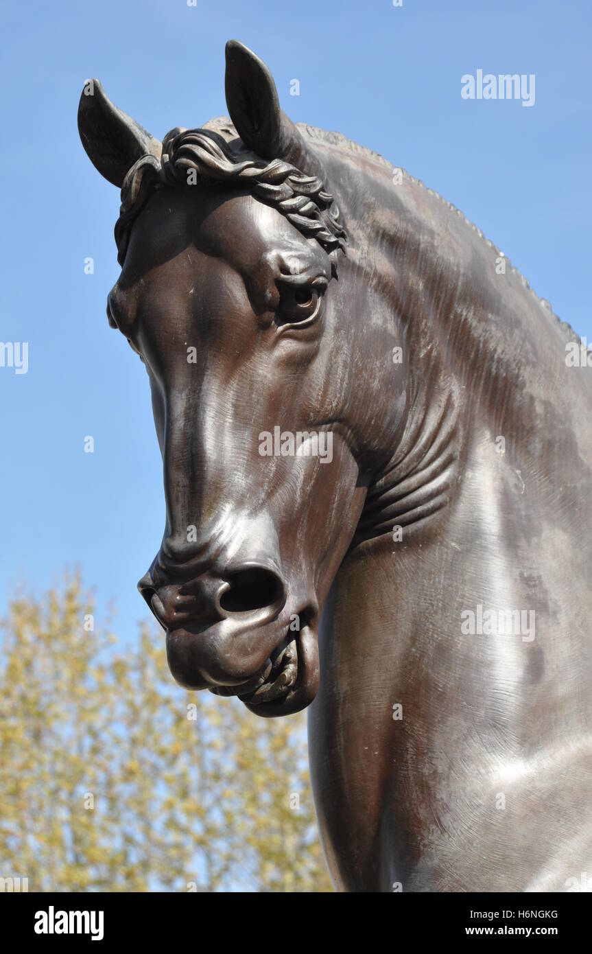 Noble emblems hi-res stock photography and images - Alamy