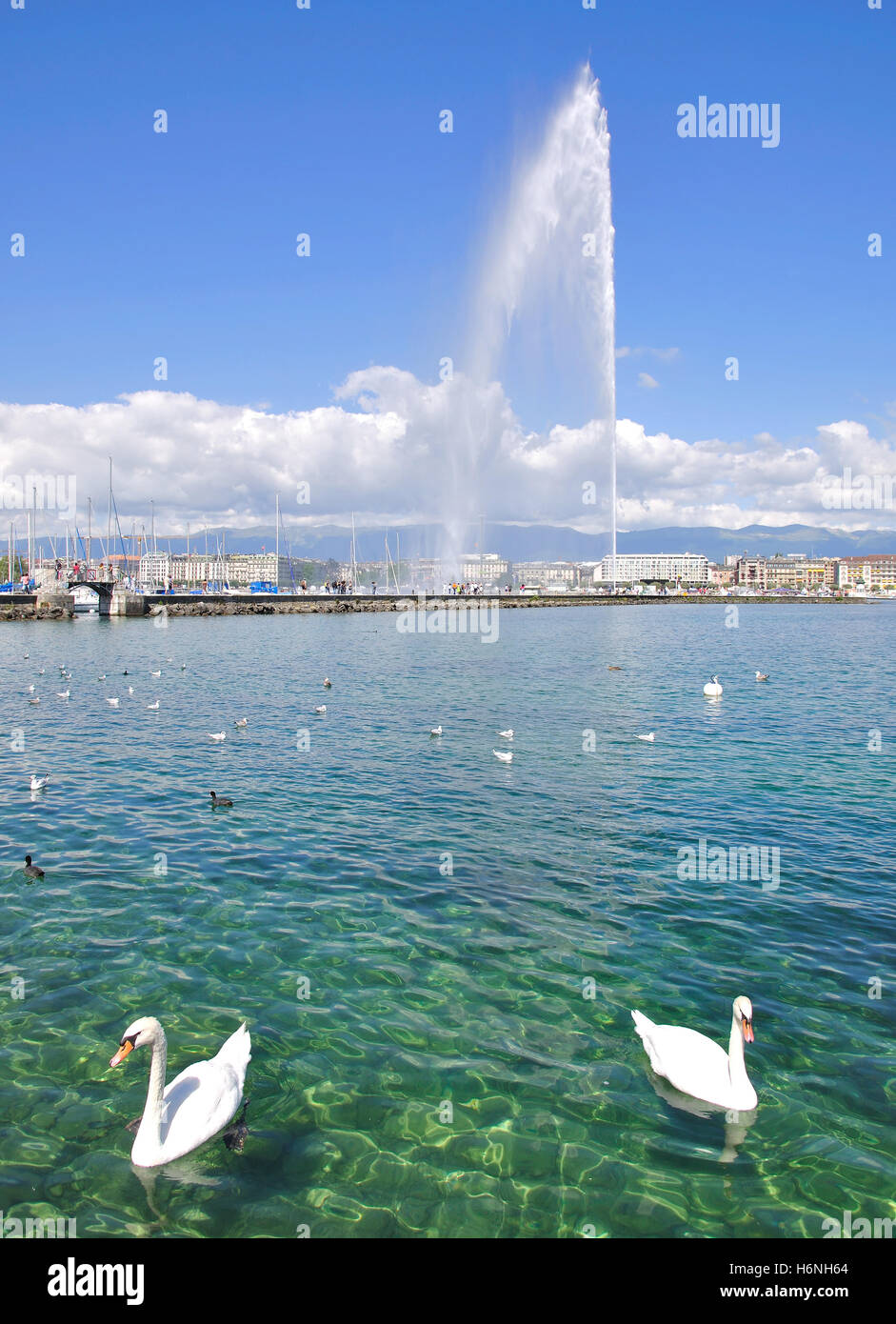 The Geneva Water Fountain High Resolution Stock Photography and Images ...
