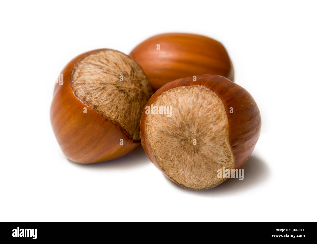 Haselnuesse High Resolution Stock Photography and Images - Alamy