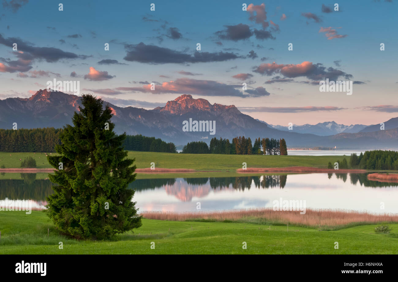 Allgau hi-res stock photography and images - Alamy