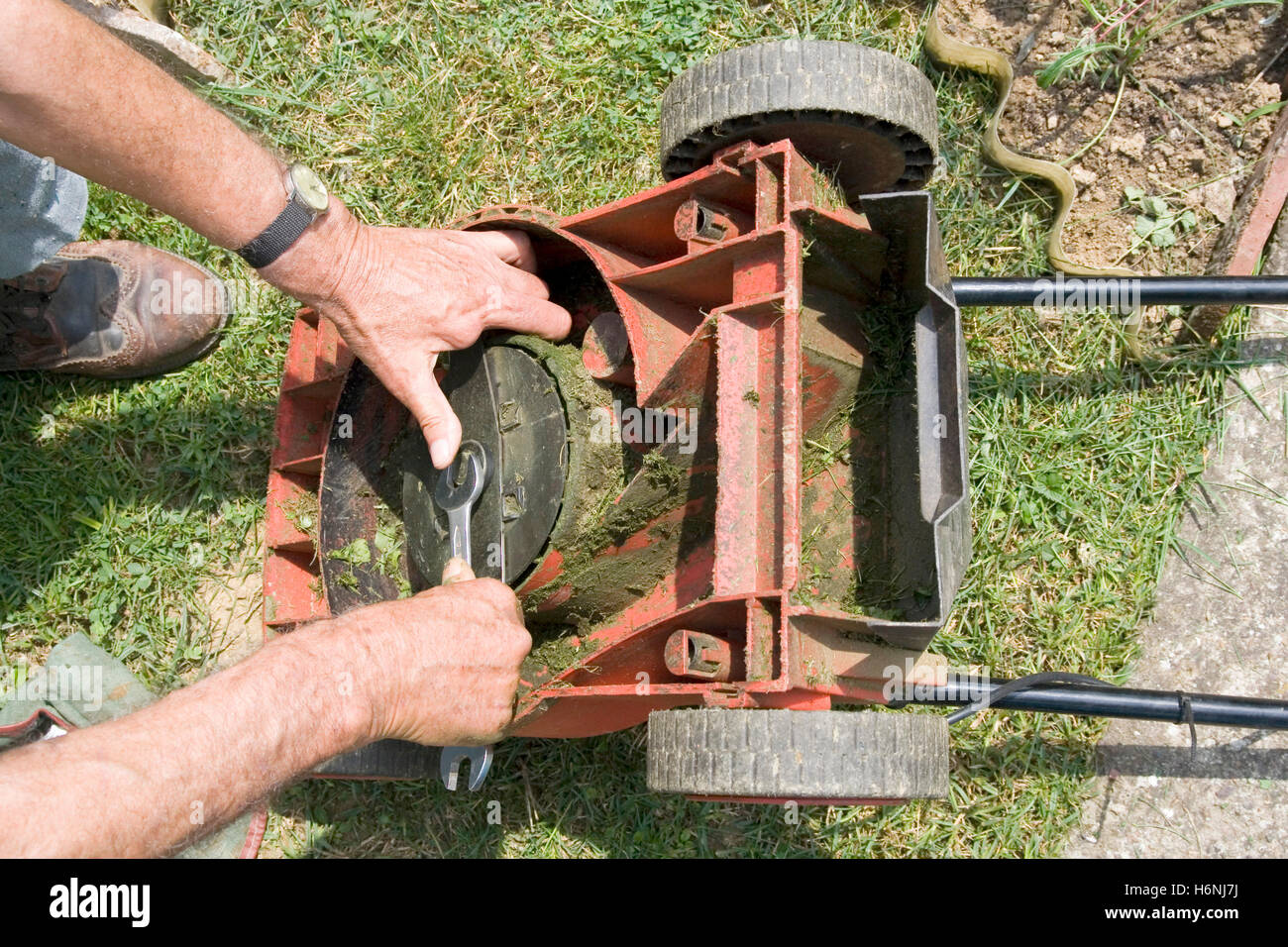 Gardening machines hi-res stock photography and images - Alamy