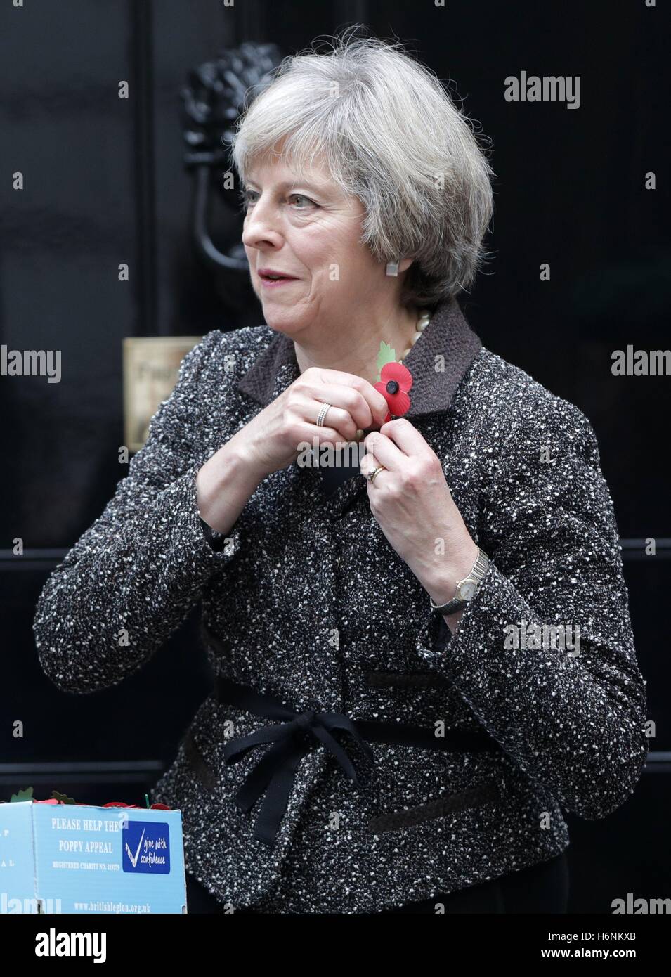 Poppy outside 10 downing street hi-res stock photography and images - Alamy