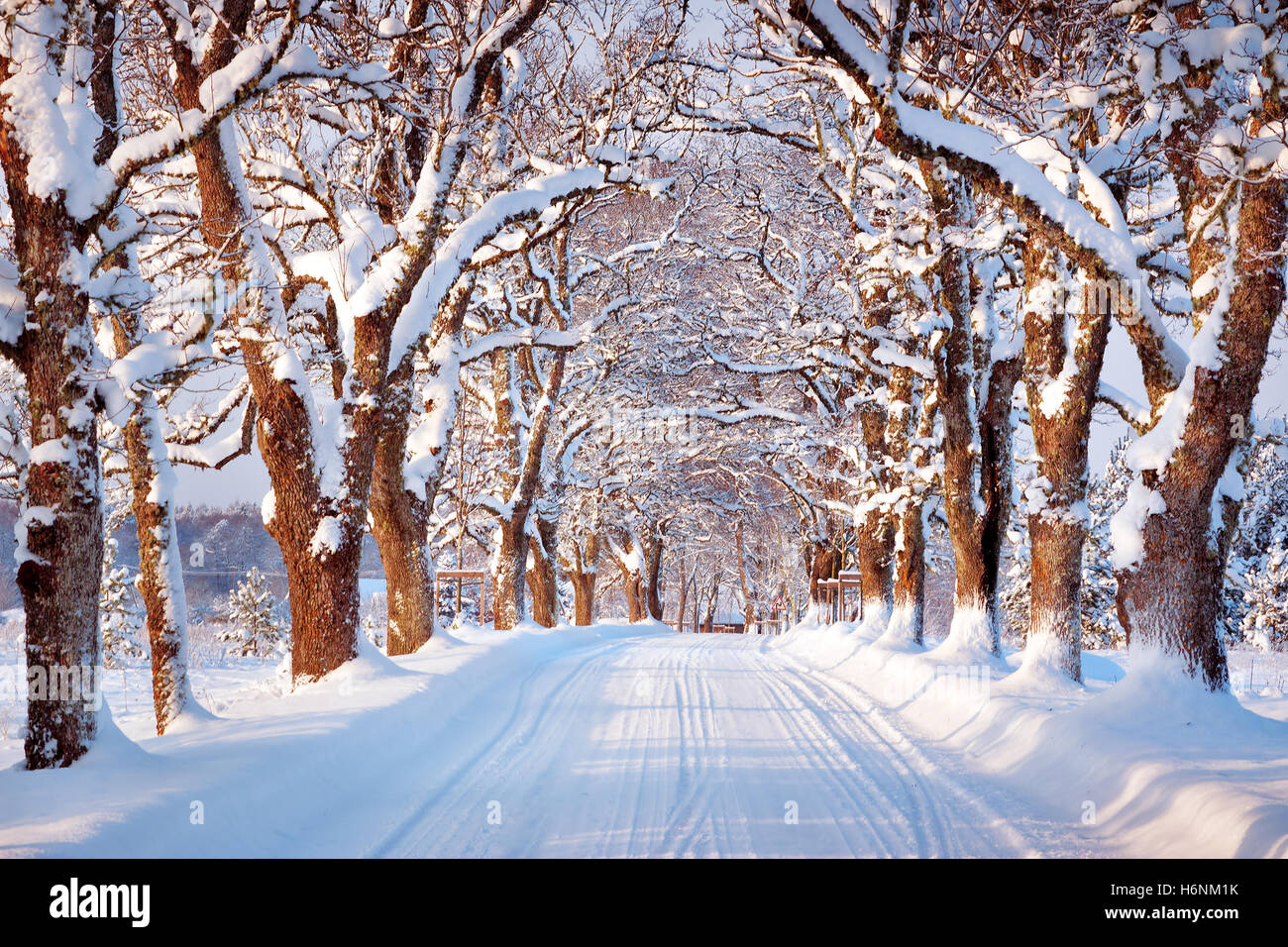 Alley in snowy morning Stock Photo - Alamy