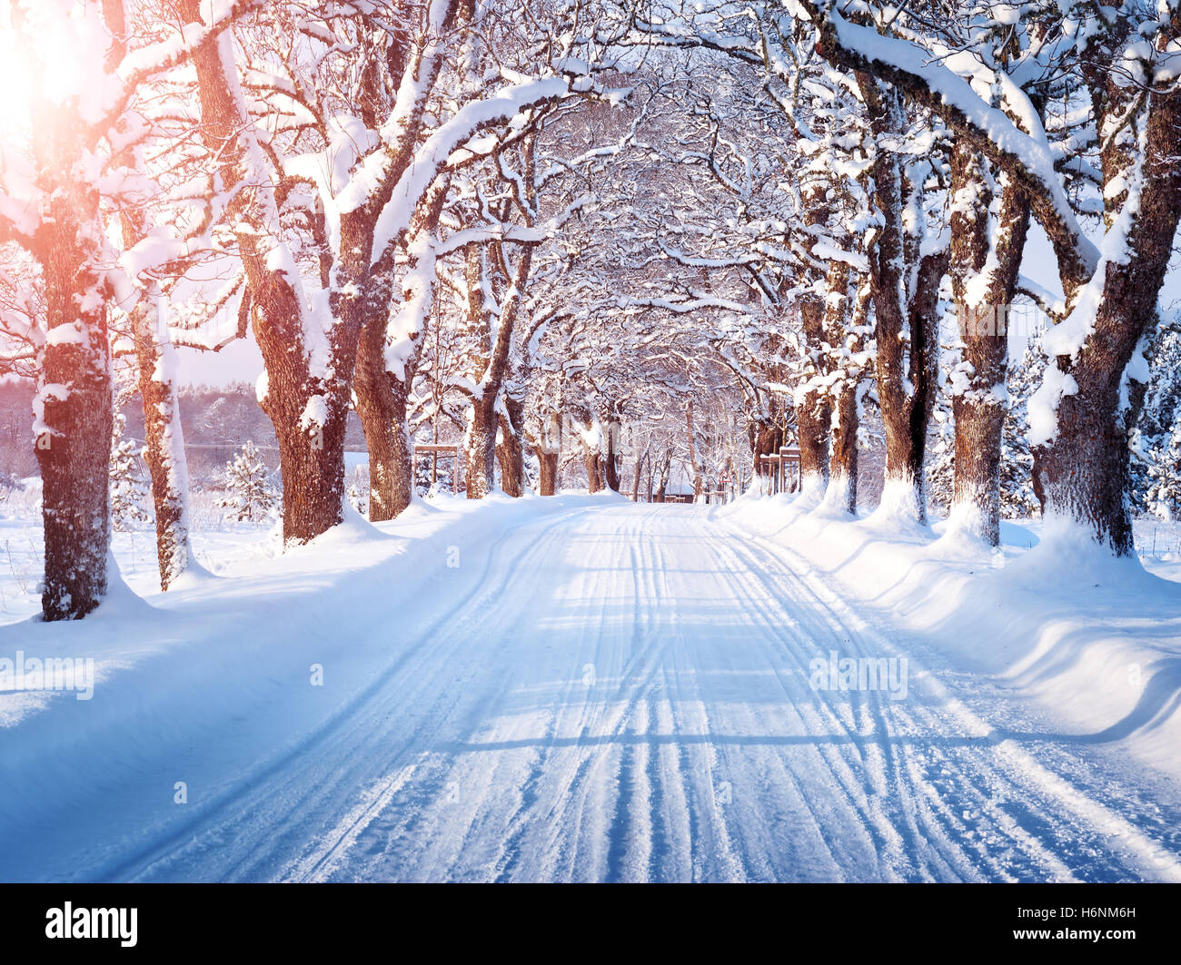 Alley in snowy morning Stock Photo - Alamy